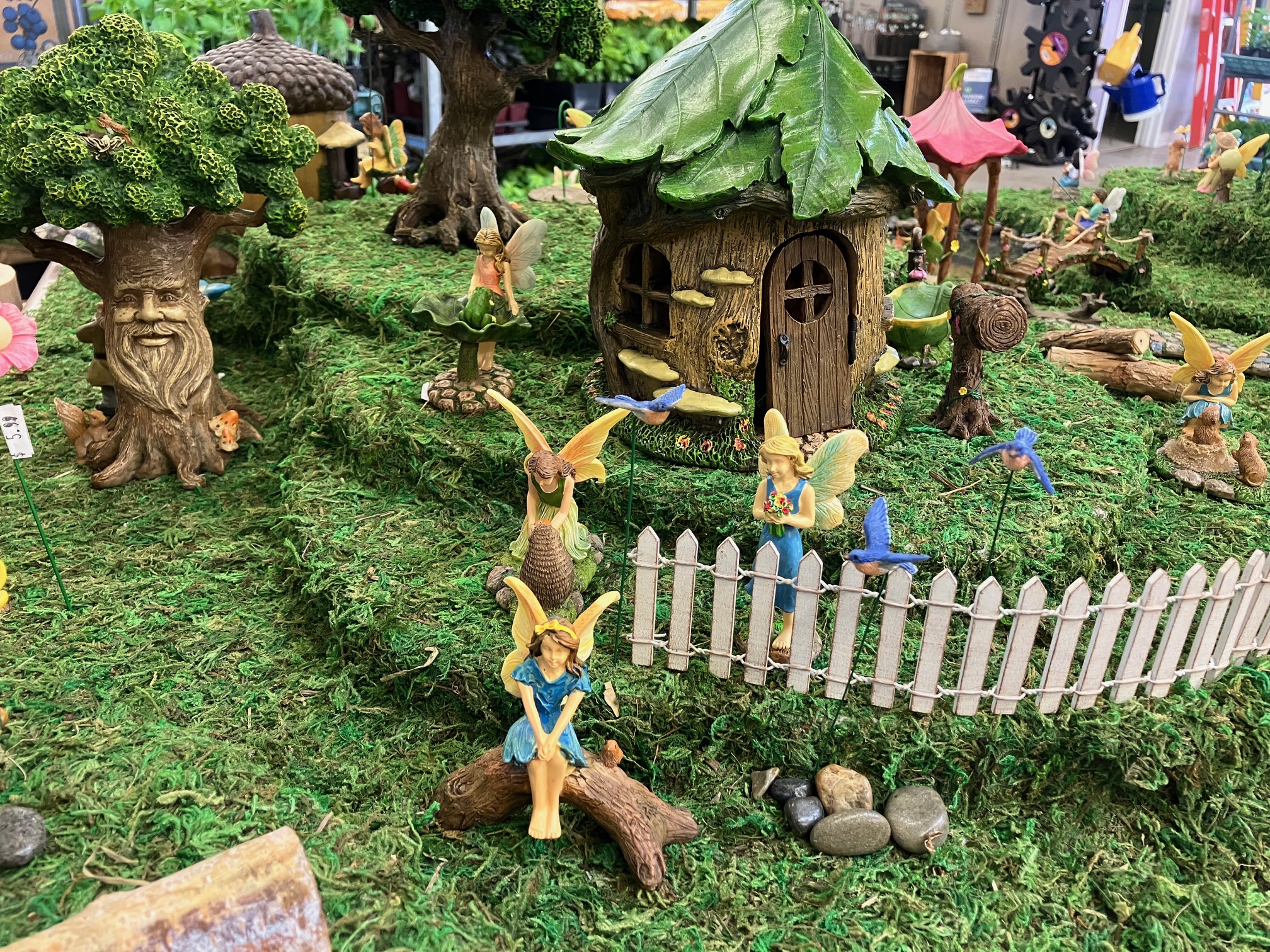 Create your own Mini Garden! | The Gardener's Choice